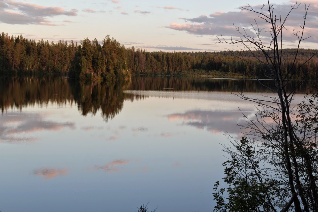 A testy bastard, at times.: Prince George, Vanderhoof and Houston BC ...